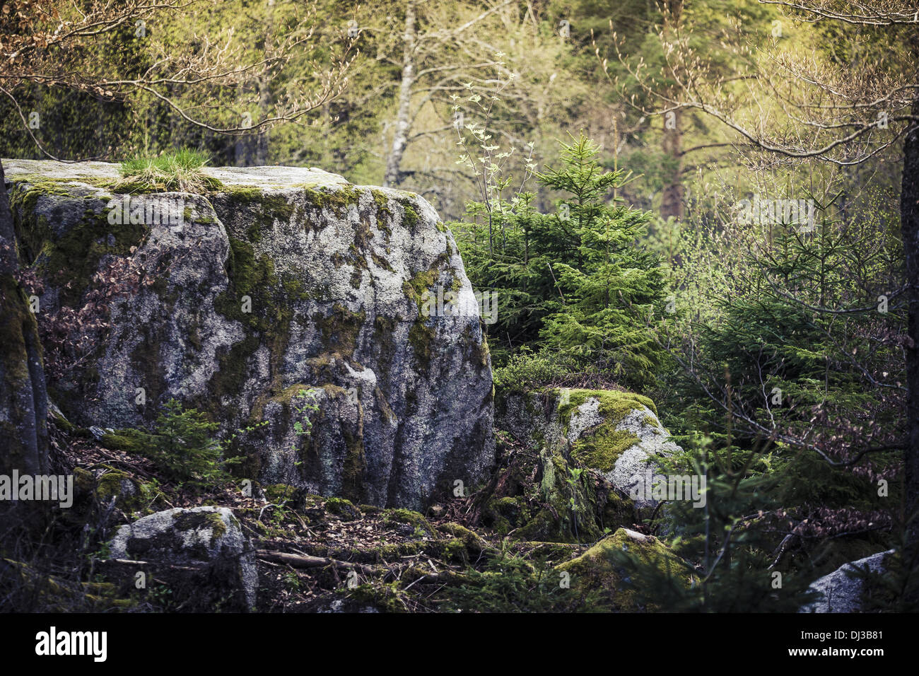 Sets setting hi-res stock photography and images - Alamy