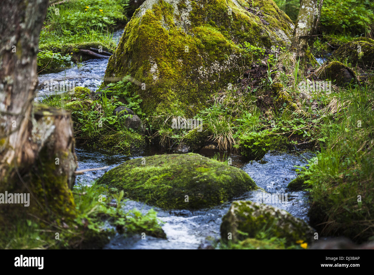 Blue glen creek hi-res stock photography and images - Alamy