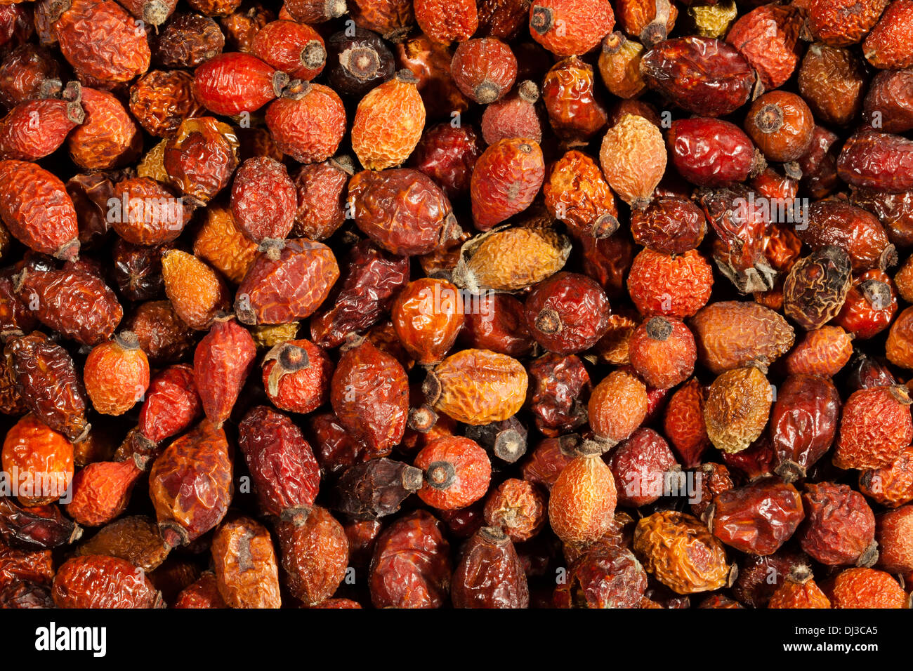 Sweet briar rose hi-res stock photography and images - Alamy