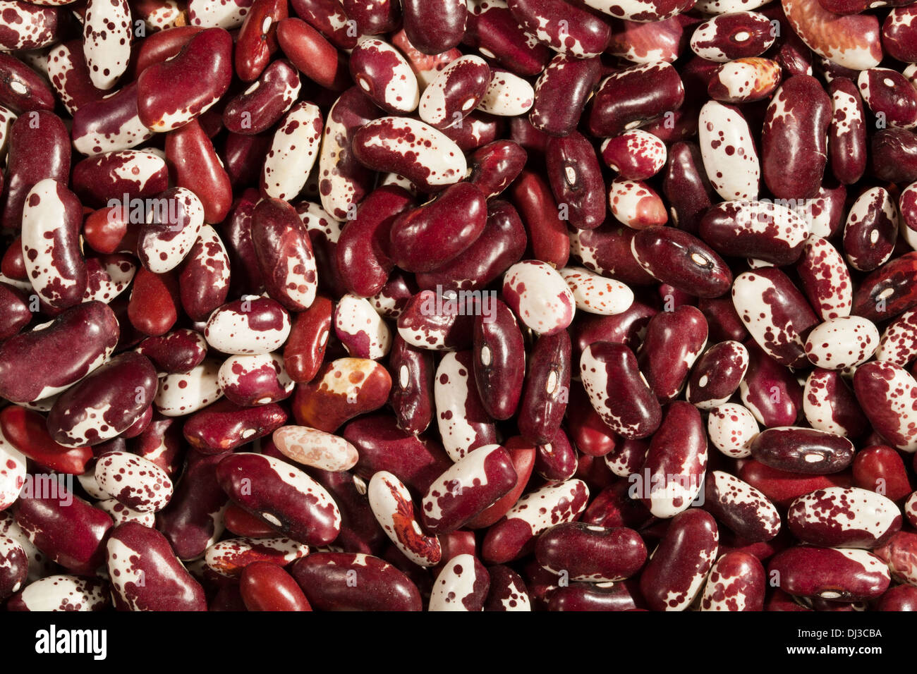 Dotted texture background hi-res stock photography and images - Alamy