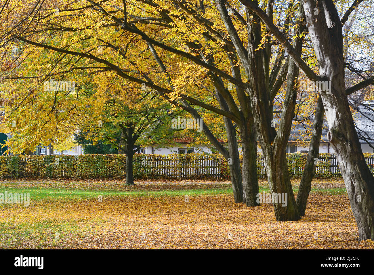Autumn fall country landscape hi-res stock photography and images - Alamy