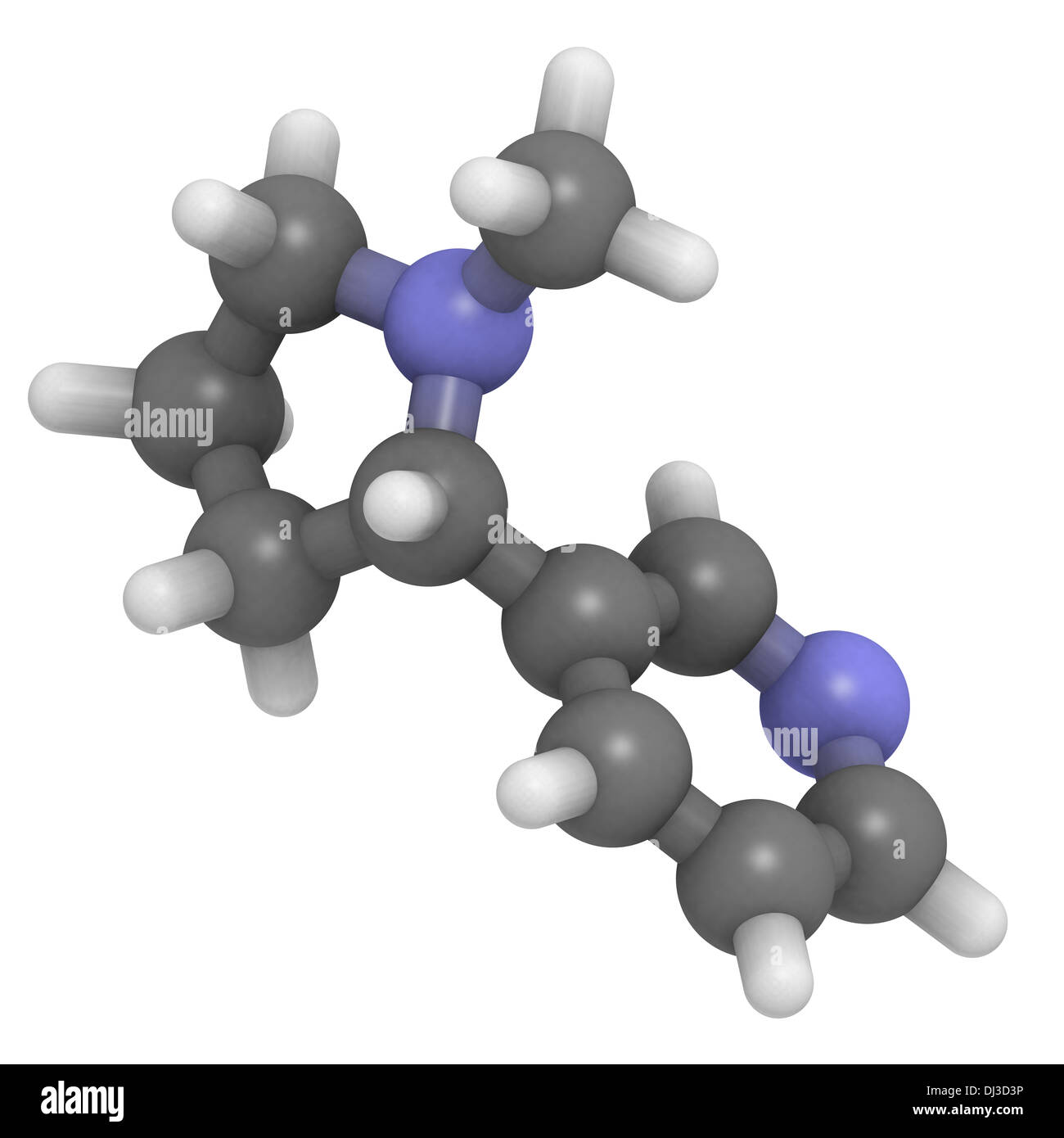 Nicotine molecule. Main addictive component of tobacco. Atoms are ...