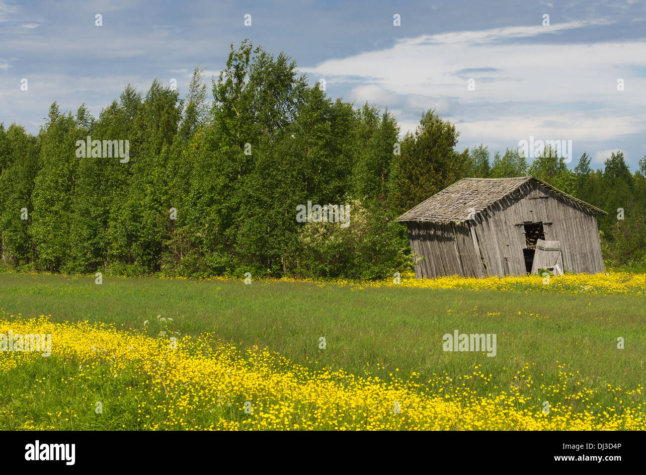 Rural scene with slanted gray barn in Finnish Lapland Stock Photo - Alamy