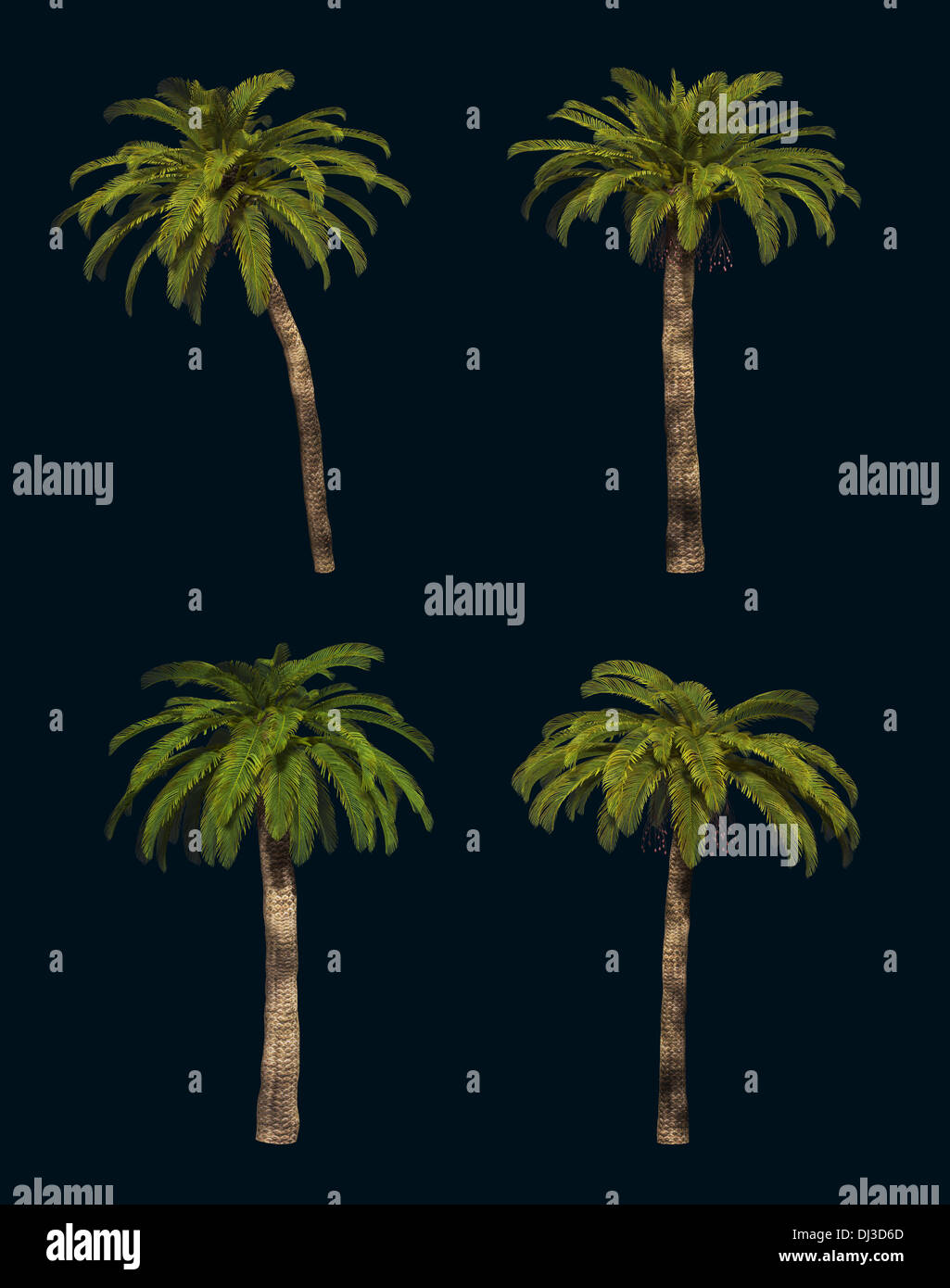 Lone tree clipart hi-res stock photography and images - Alamy