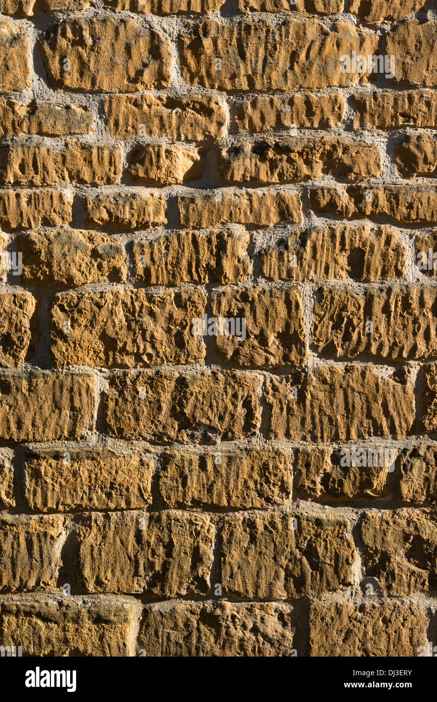 Close up of a cotswold limestone stone wall in sidelight showing the ...