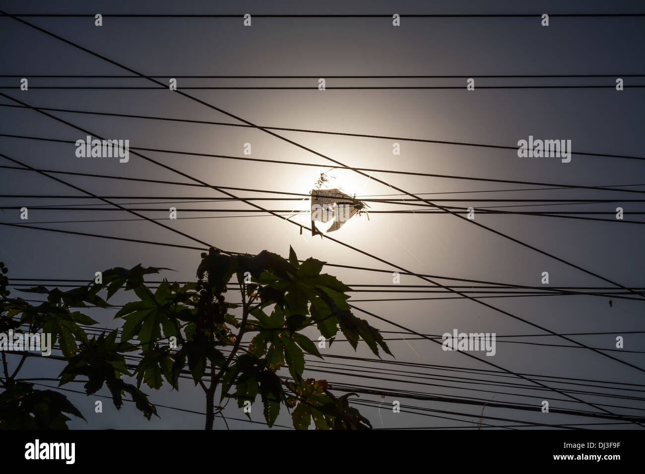 The remains of a kite or 'pipa' caught in low hanging power lines over ...
