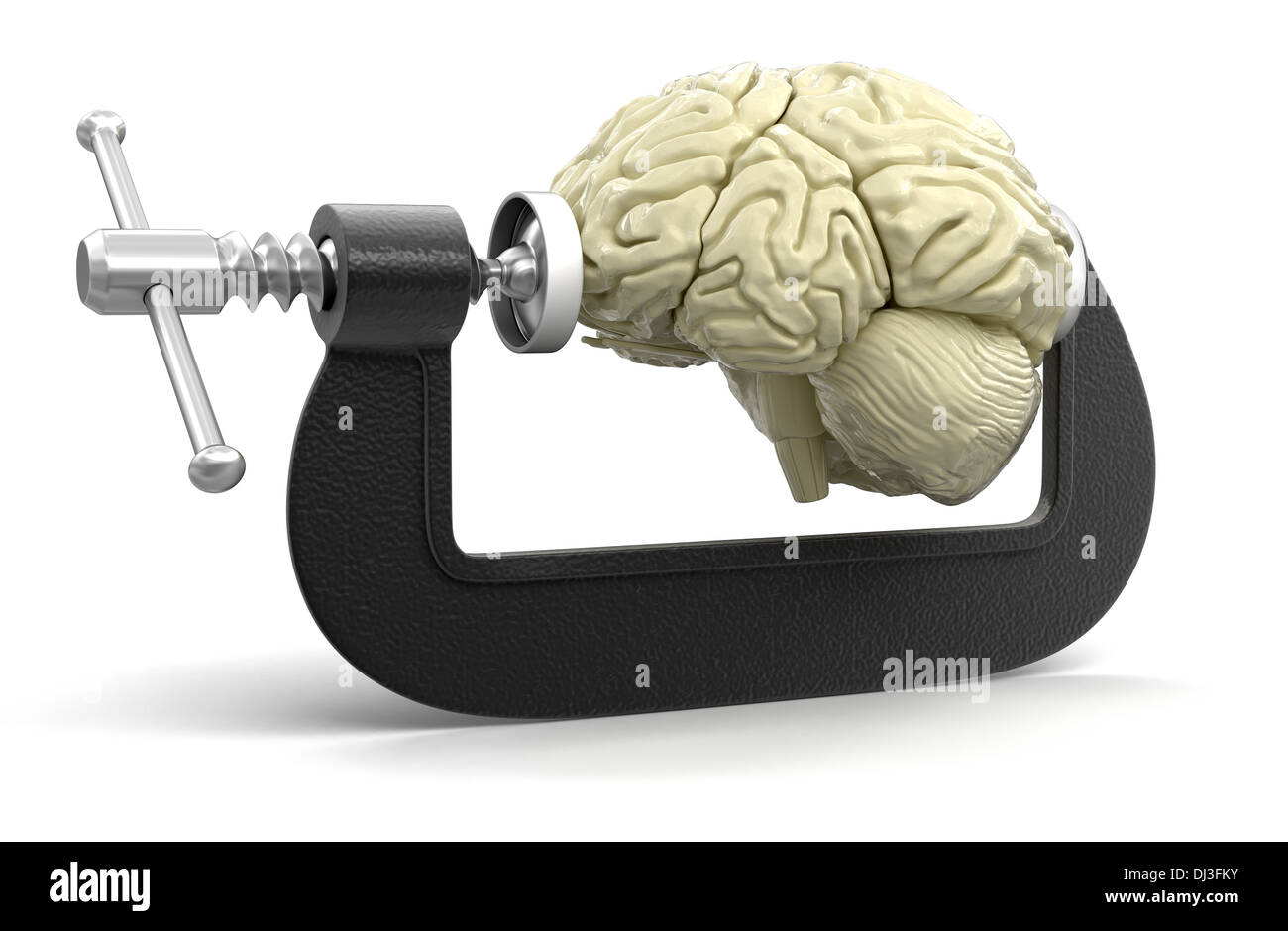 Brain in clamp (clipping path included Stock Photo - Alamy
