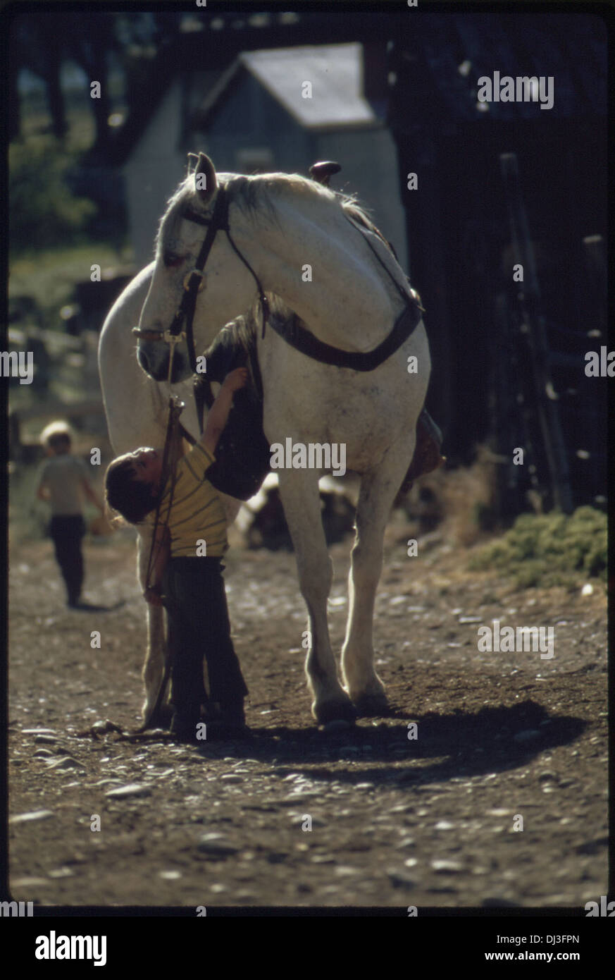 A typical scene from a ranch, showcasing rural farming or livestock ...