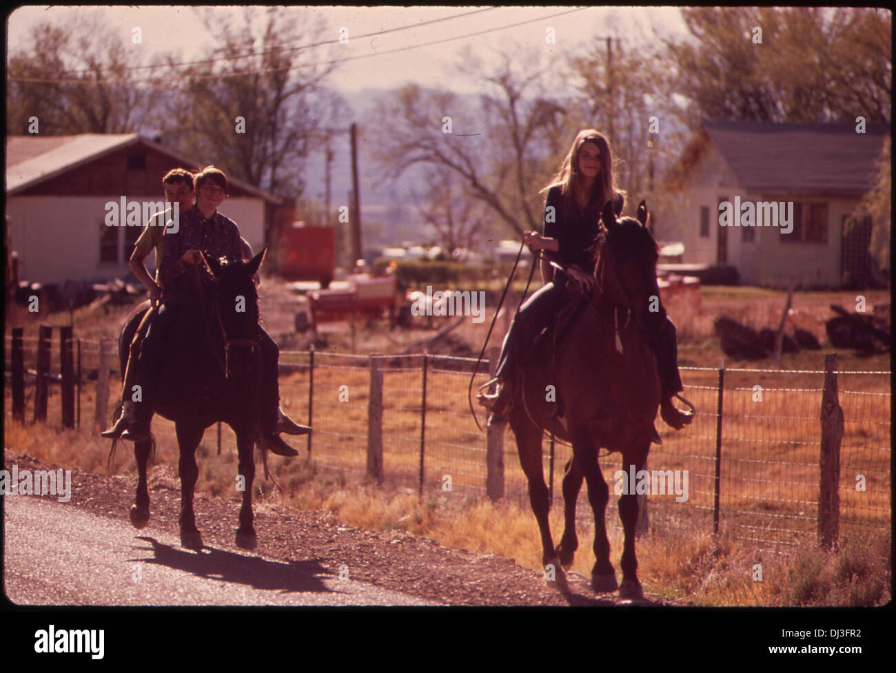 A ranch scene showing a rural agricultural setting, featuring livestock ...