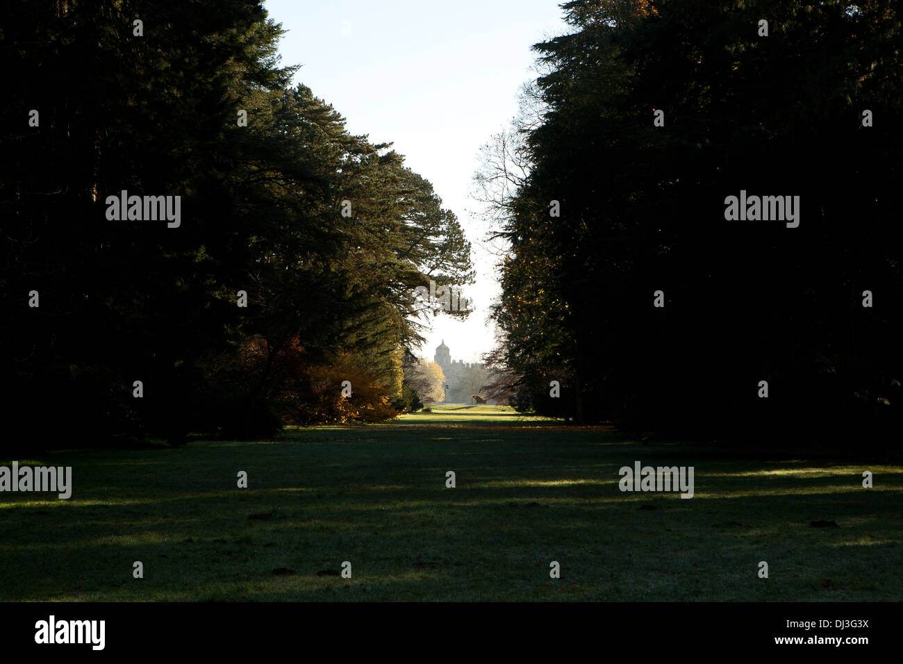 Holford hi-res stock photography and images - Alamy