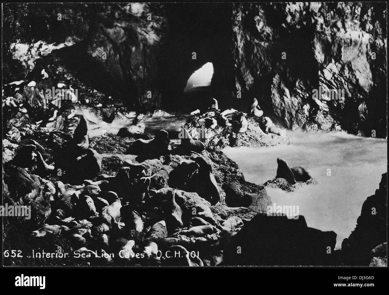 INTERIOR OF LARGE CAVE 520127 Stock Photo - Alamy