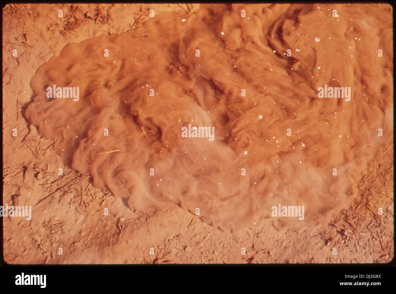 This image depicts scum on a lake caused by siltation, a process where ...