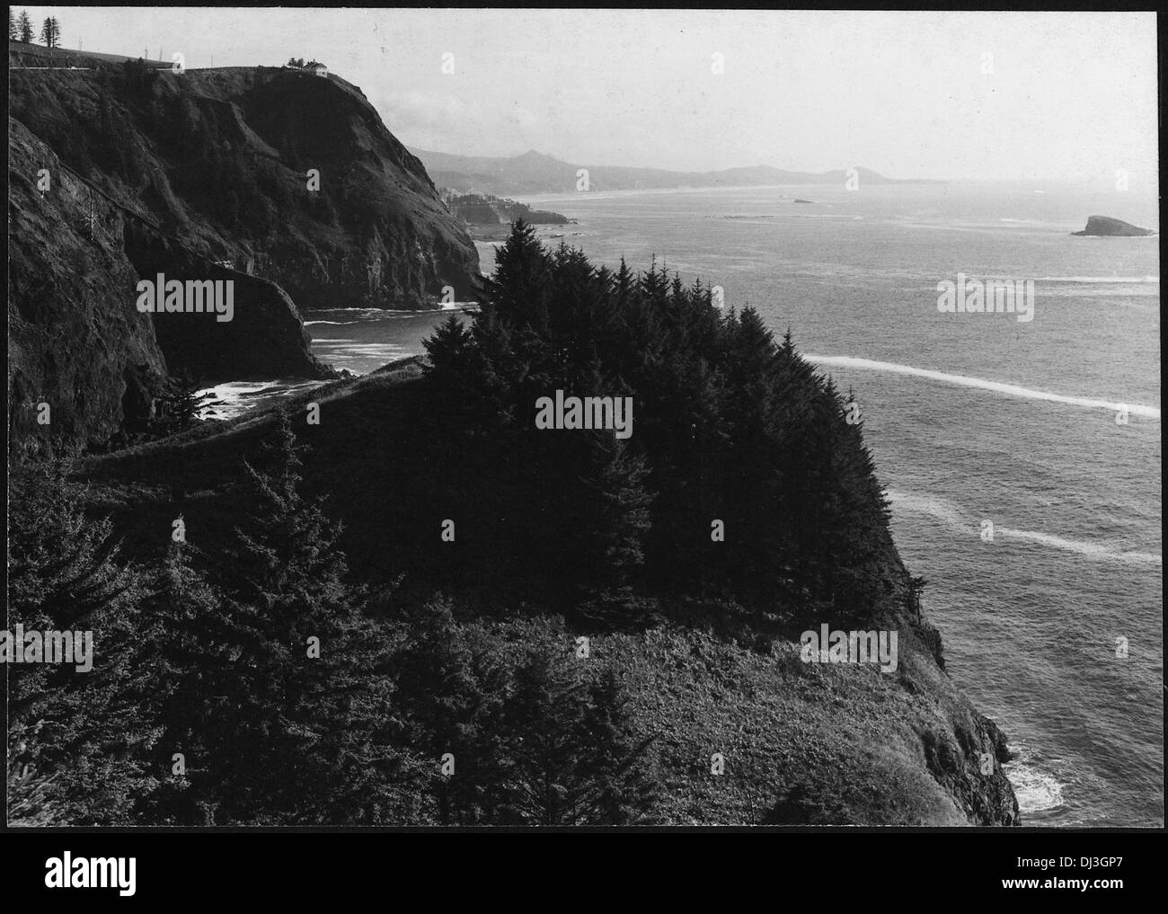 Otter Crest High Resolution Stock Photography and Images - Alamy