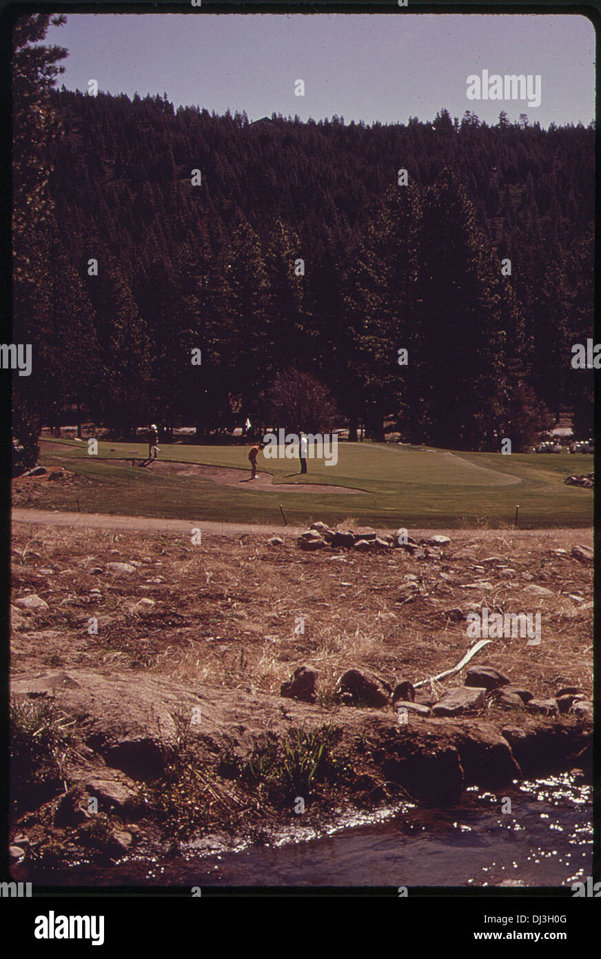 Runoff from the construction of a golf course and private homes has ...