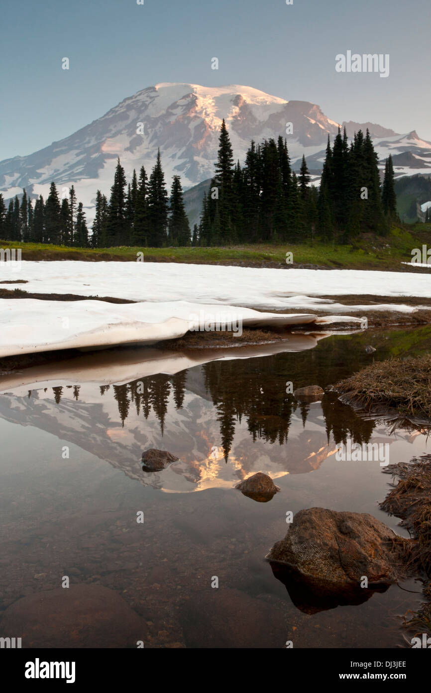 Mount Rainier reflected in a pool of melt water on Mazama Ridge, Mount ...