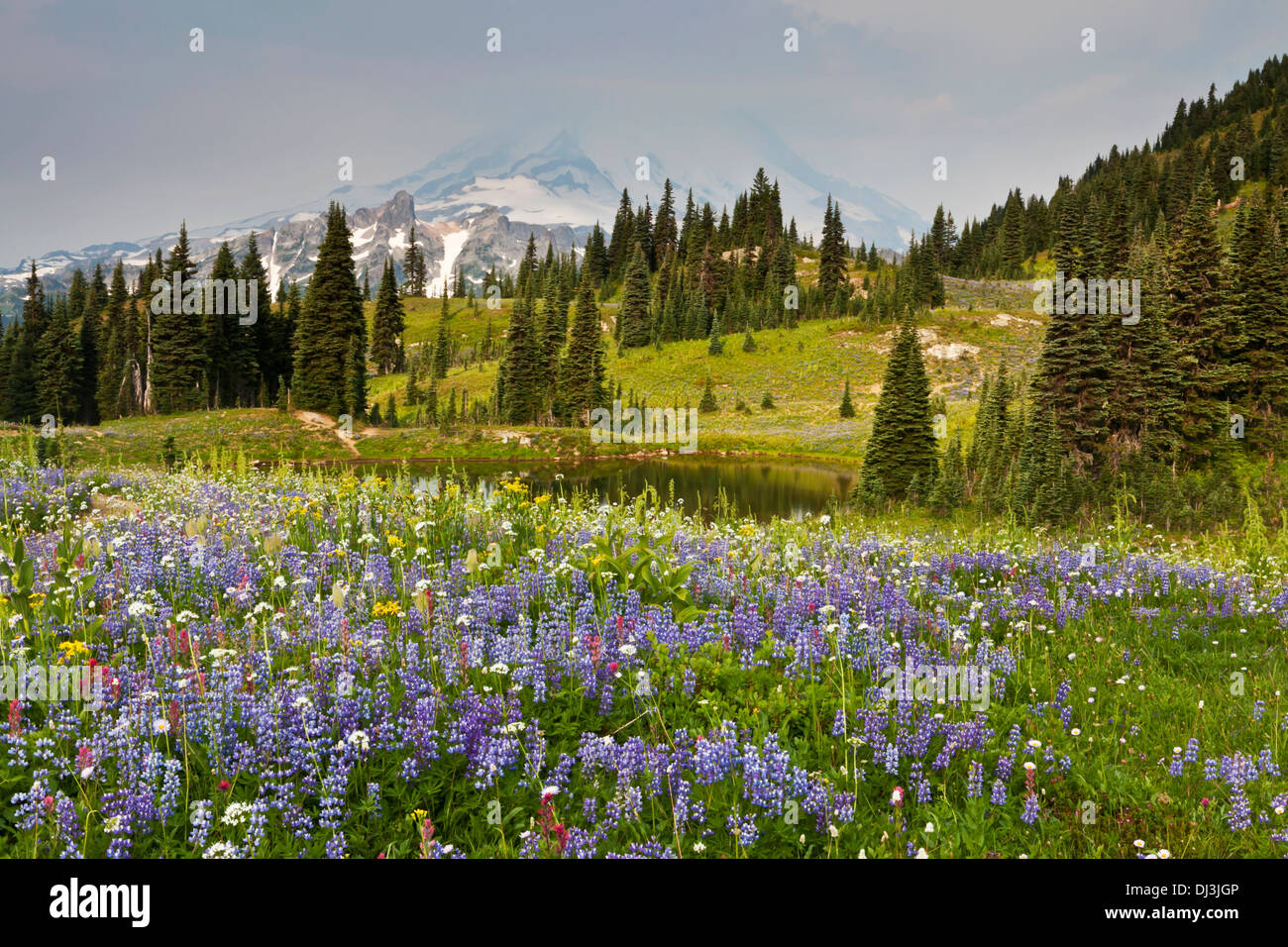 Naches loop hi-res stock photography and images - Alamy
