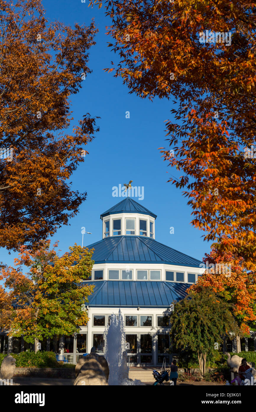 The fountain and carousel, surrounded by fall colors, at Coolidge Park ...