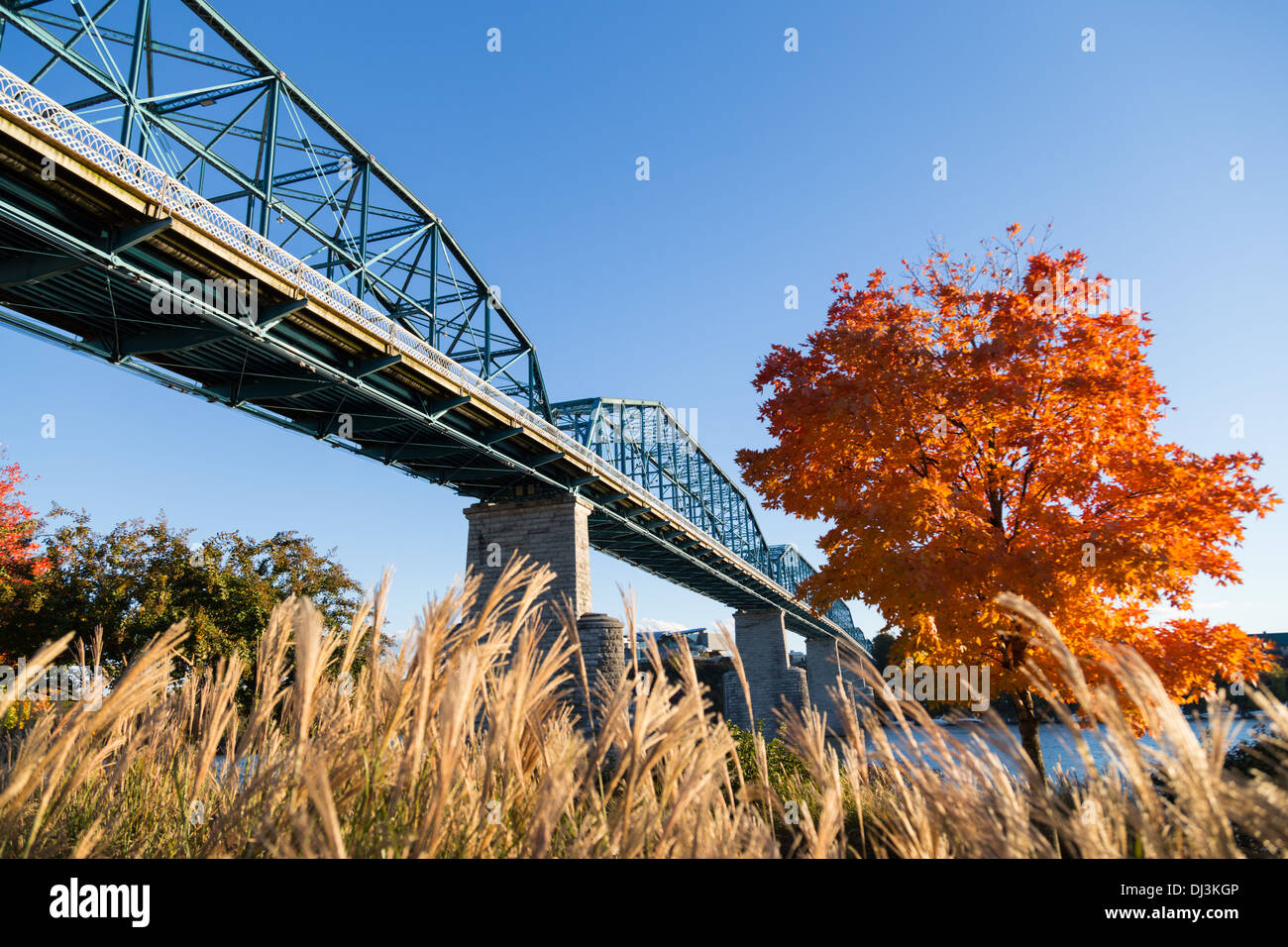 The Walnut Street walking bridge across the Tennessee River in ...
