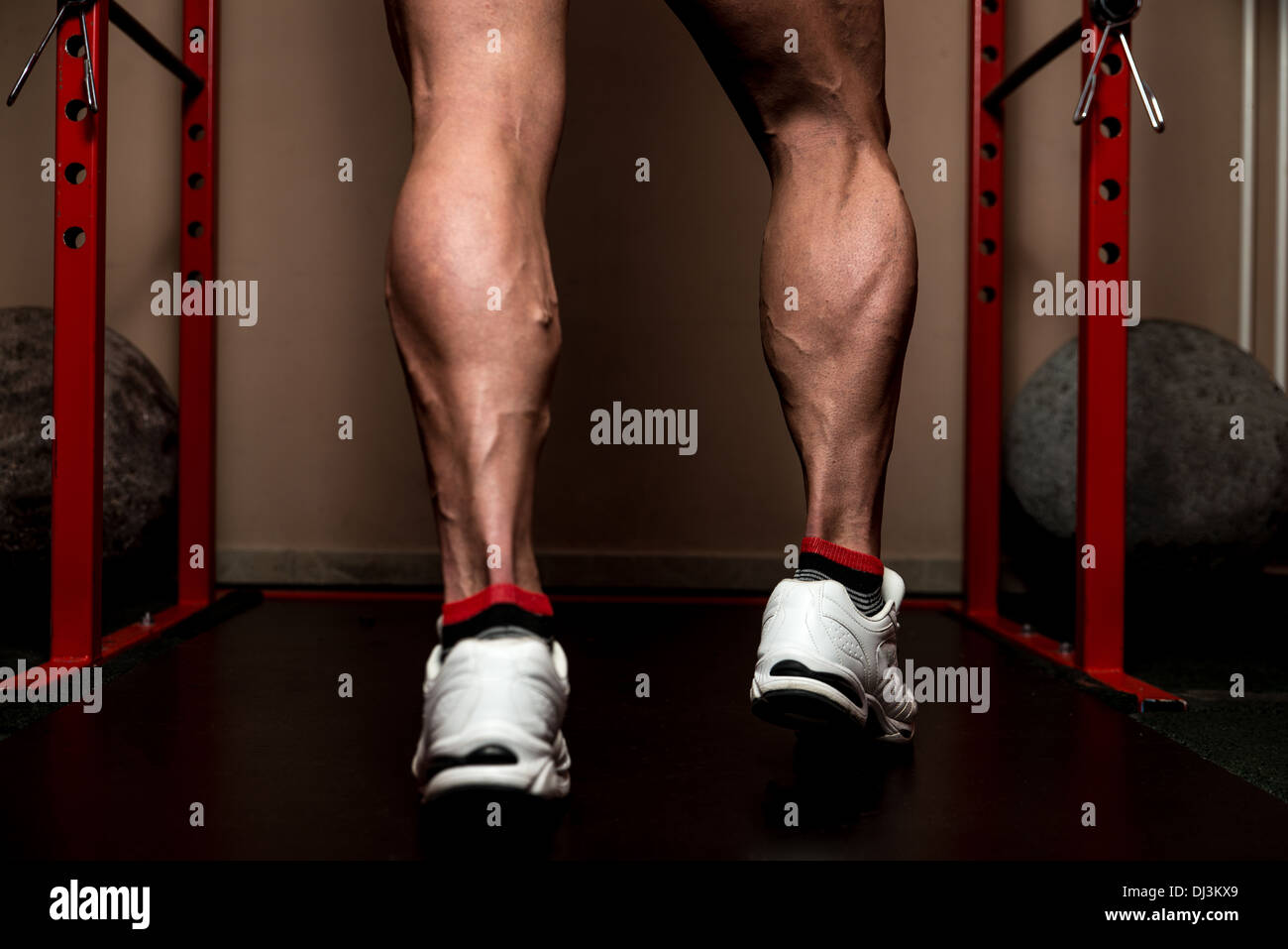 Sporty Legs Calf Stock Photo - Alamy