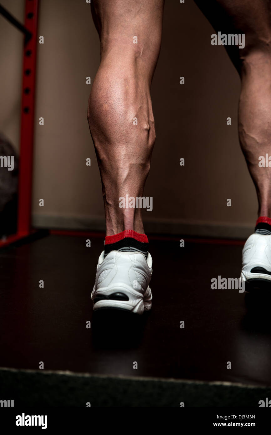 Sporty Legs Calf Stock Photo - Alamy