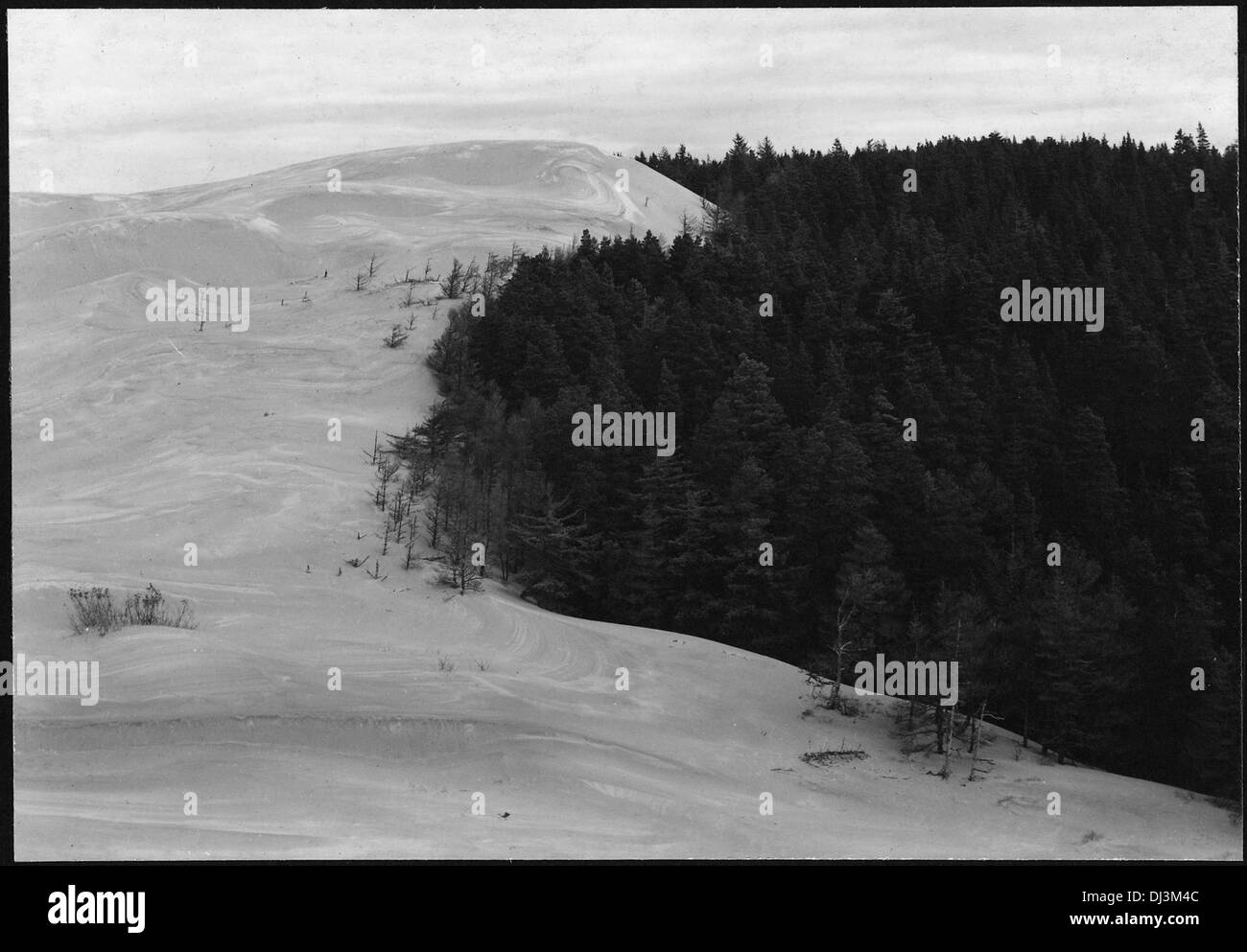 Line formation soldier Black and White Stock Photos & Images - Alamy
