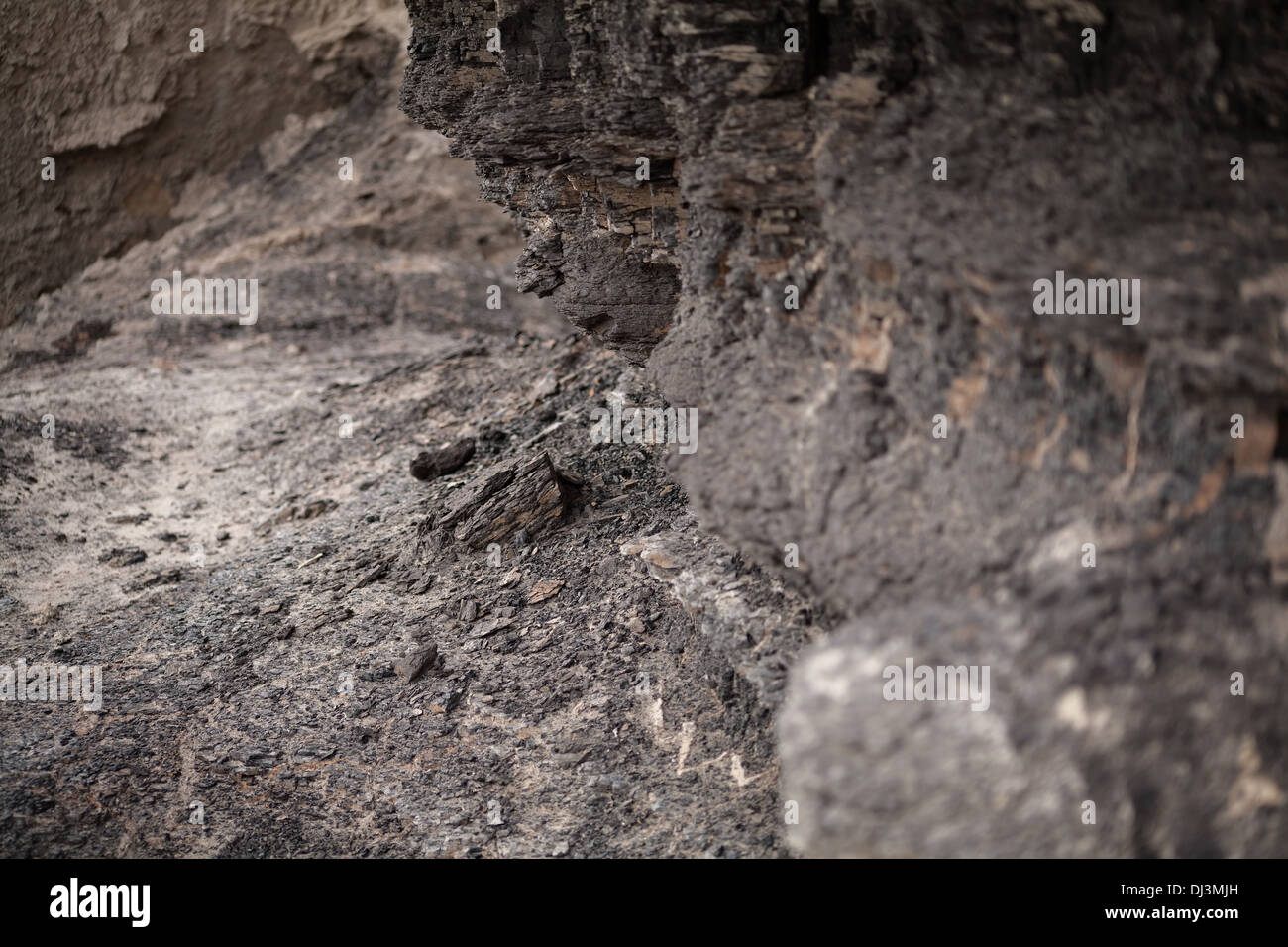 Sandstone and mudstone shale hi-res stock photography and images - Alamy