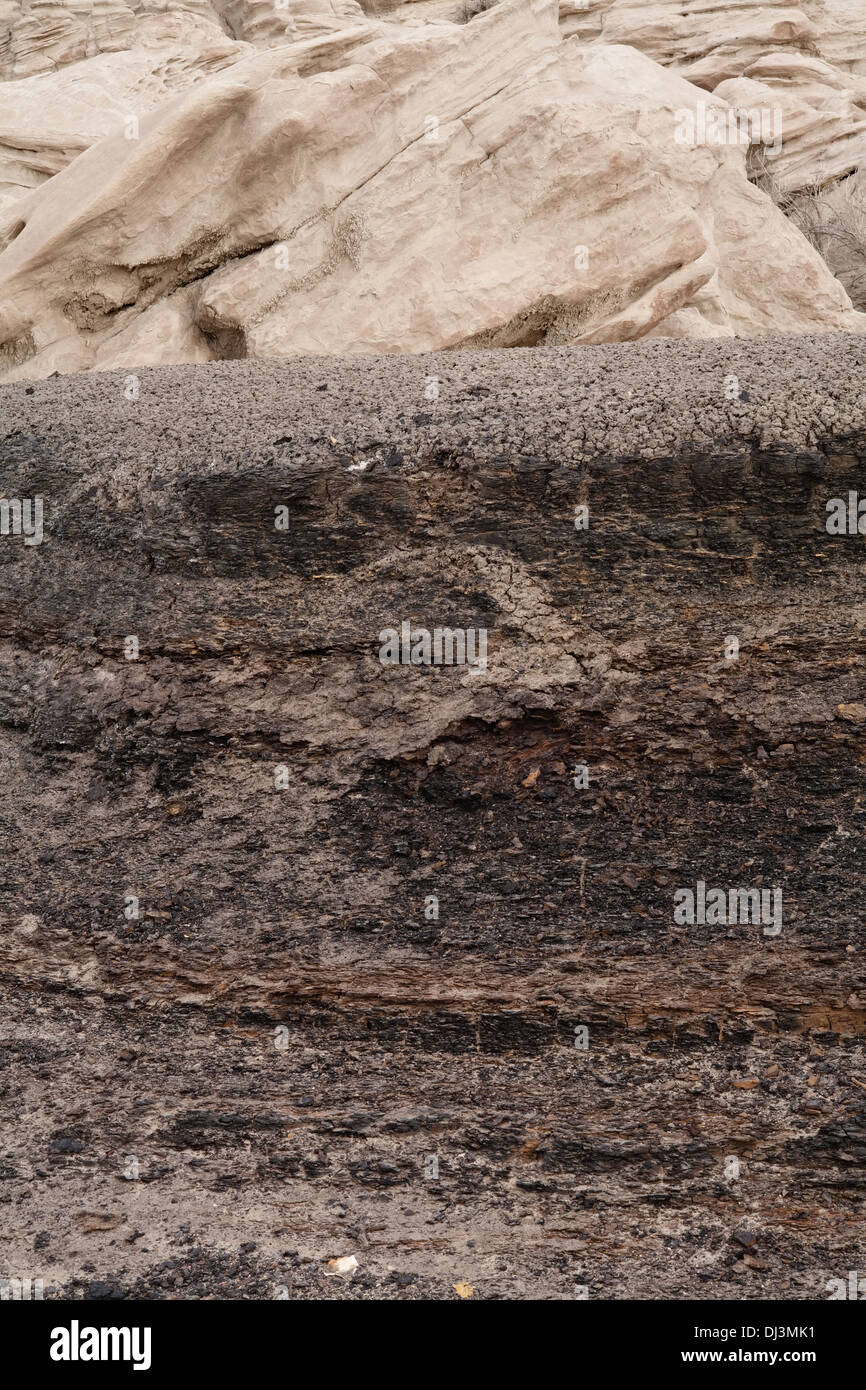 Examples of sandstone and mudstone in the Bisti/De-Na-Zin Wilderness ...