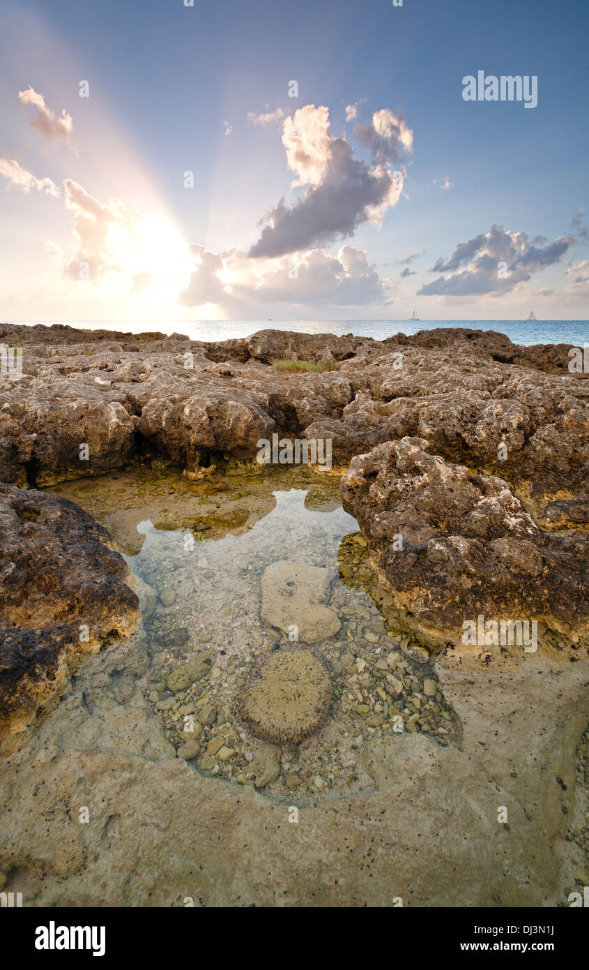 Rocks limestone cozumel mexico hi-res stock photography and images - Alamy