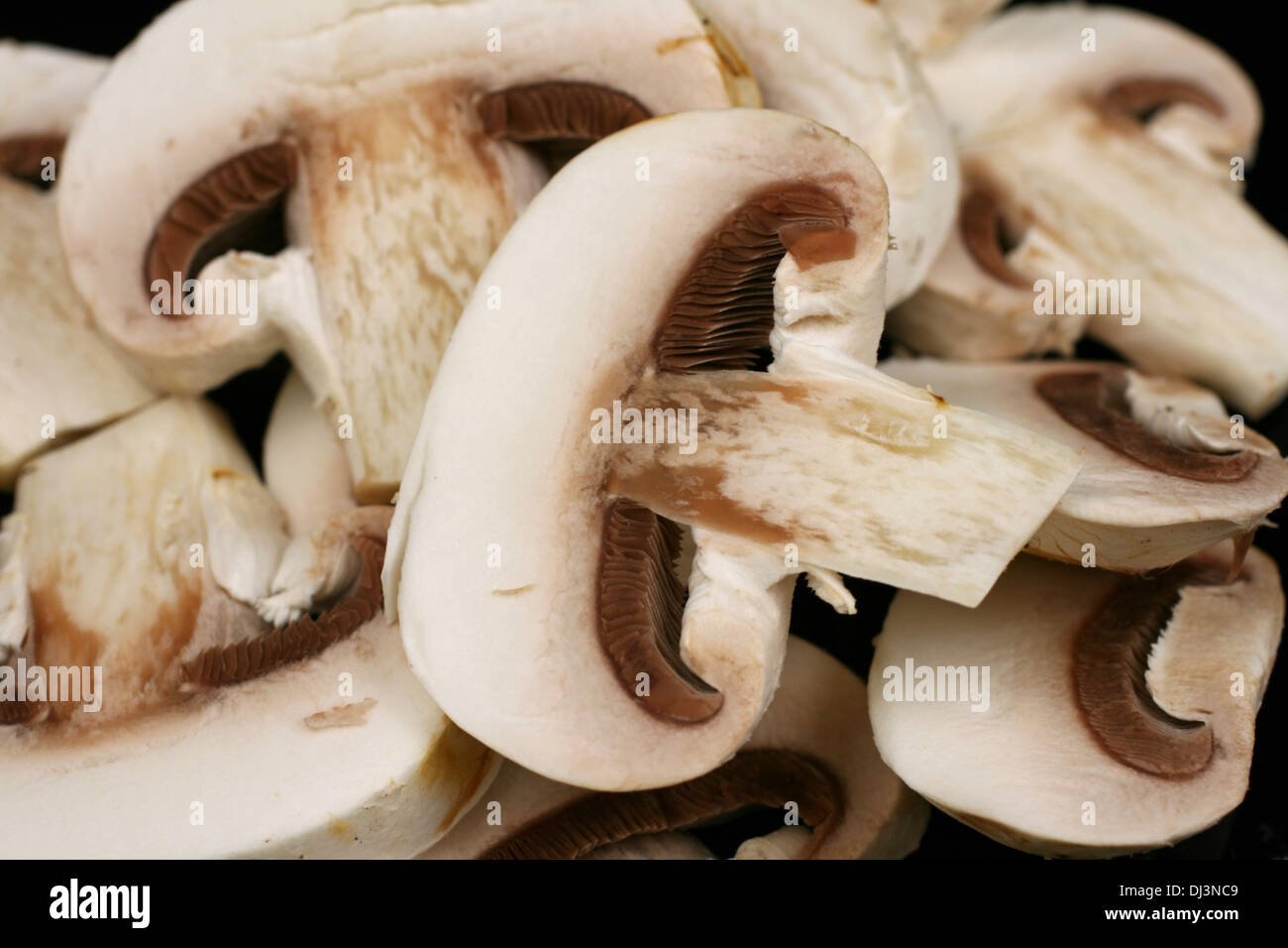 White button mushroom gills hi-res stock photography and images - Alamy