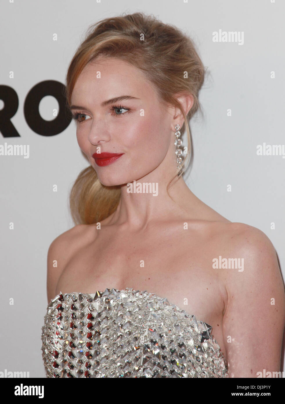 Las Vegas, Nevada, USA. 20th Nov, 2013. Actress Kate Bosworth attends ...