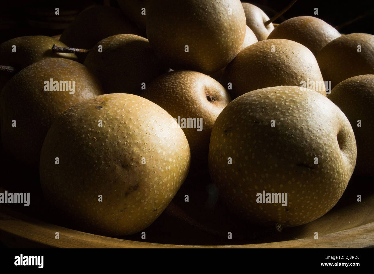 Chojuro Asian Pear, Pyrus pyrifolia 'Chojuro', fruit Stock Photo - Alamy