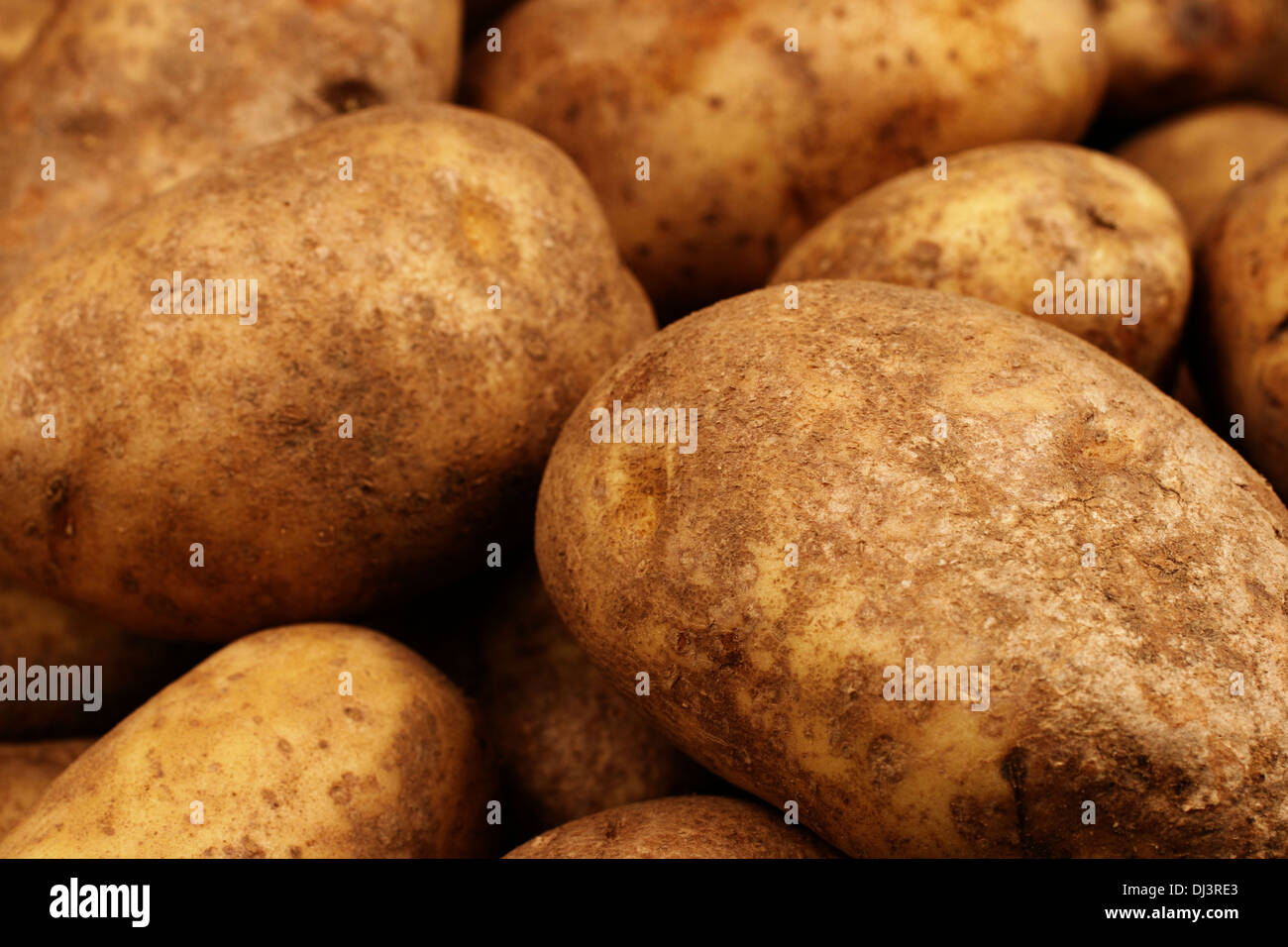 Close Shot Russet Potatoes High Resolution Stock Photography and Images ...