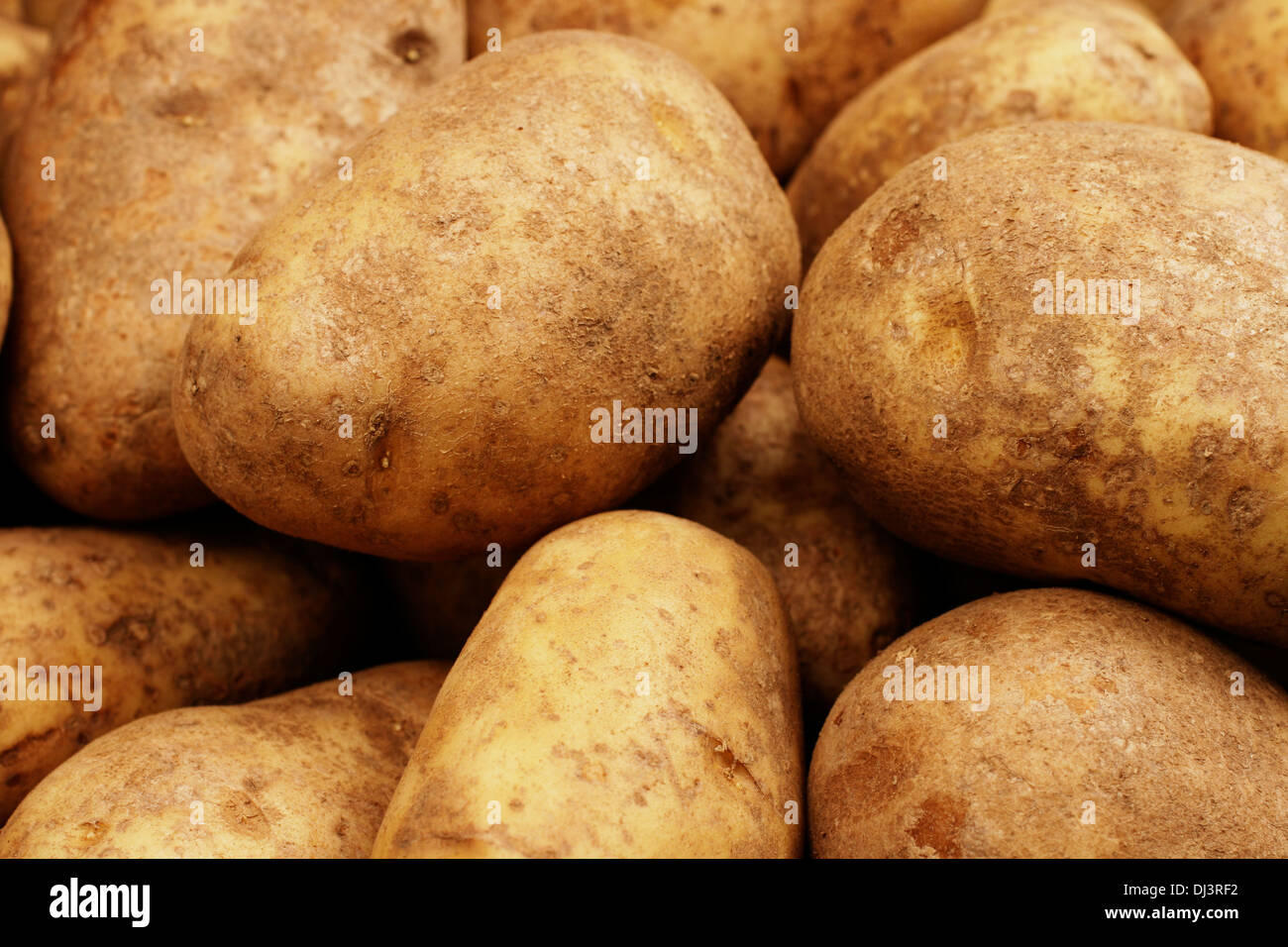 Russet Potatoes High Resolution Stock Photography and Images - Alamy