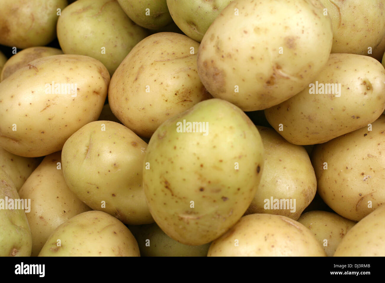Yukon gold potato hi-res stock photography and images - Alamy