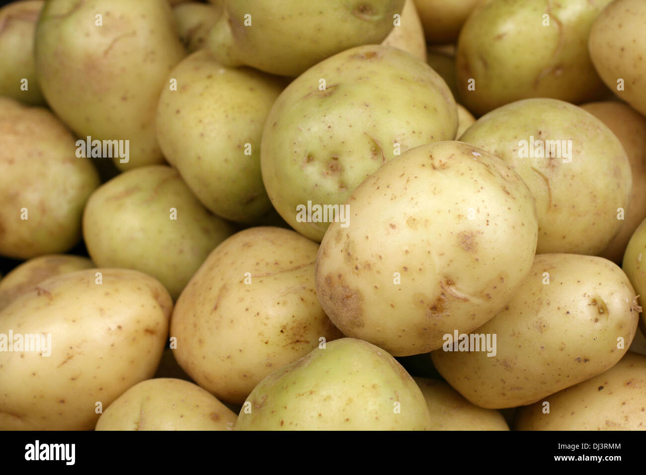Yukon gold potato hi-res stock photography and images - Alamy