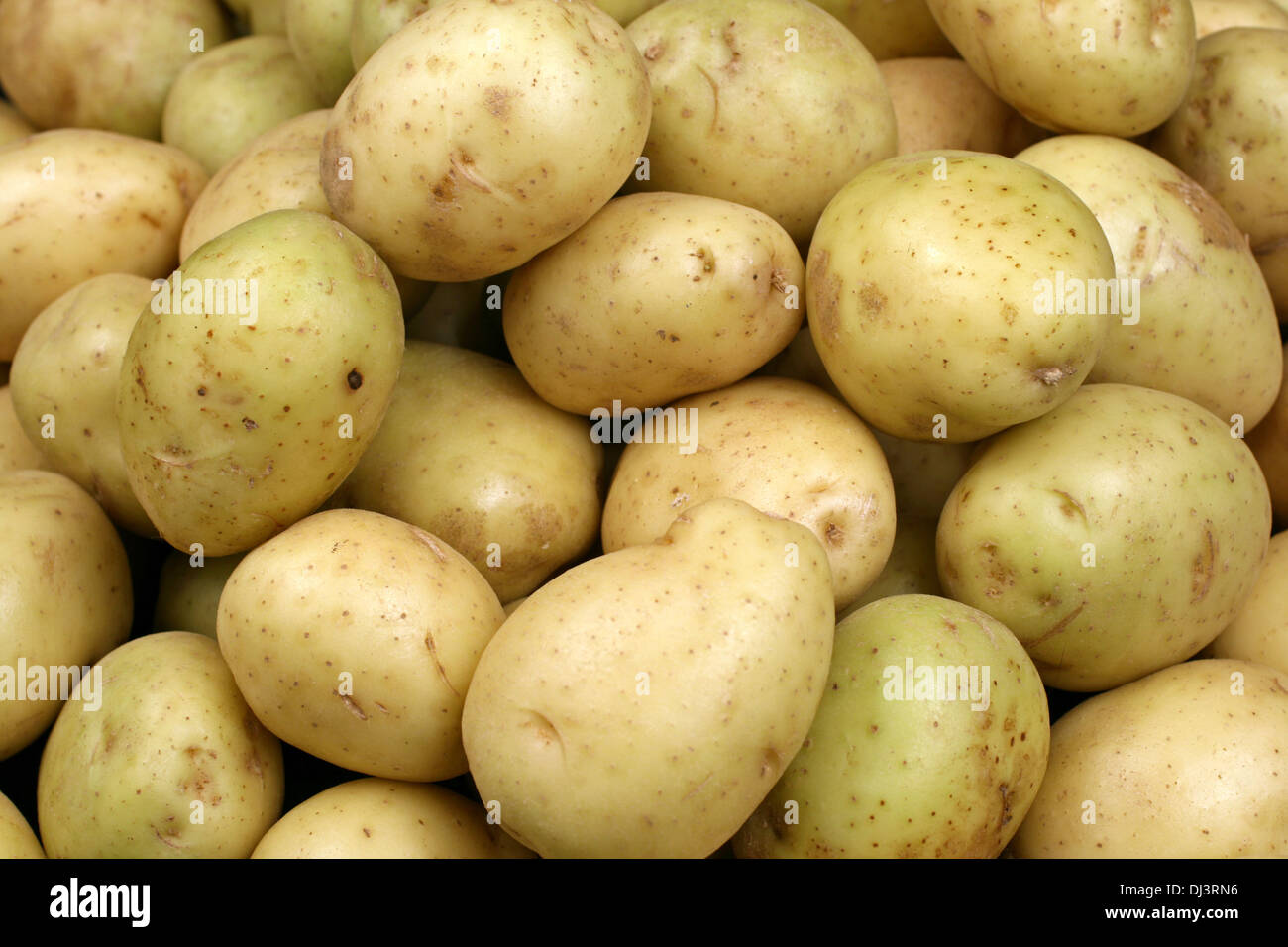 Yukon gold potato hi-res stock photography and images - Alamy