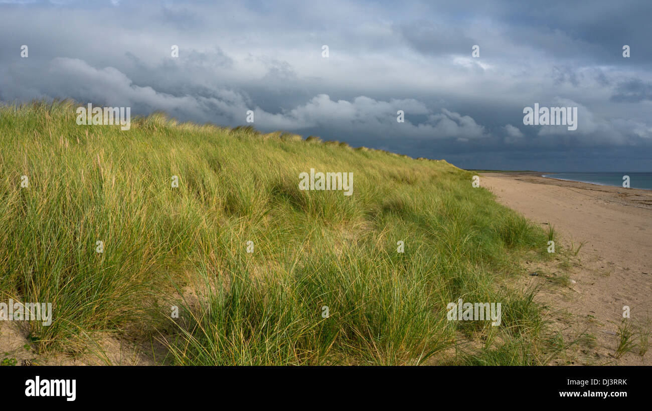 Wexford beach hi-res stock photography and images - Alamy