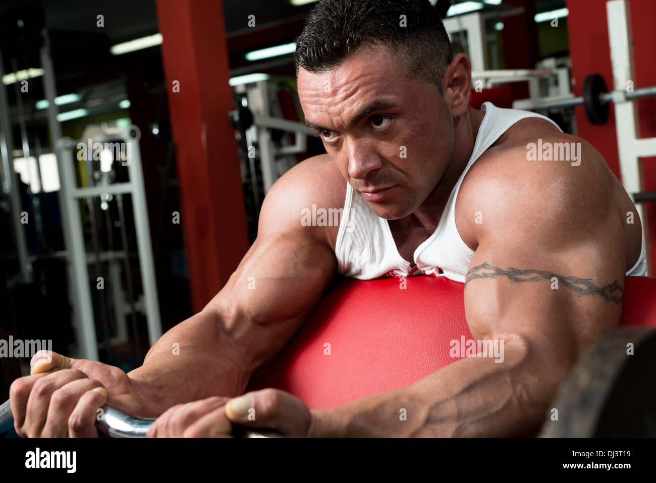 Bodybuilder sitting doing exercises hi-res stock photography and images ...