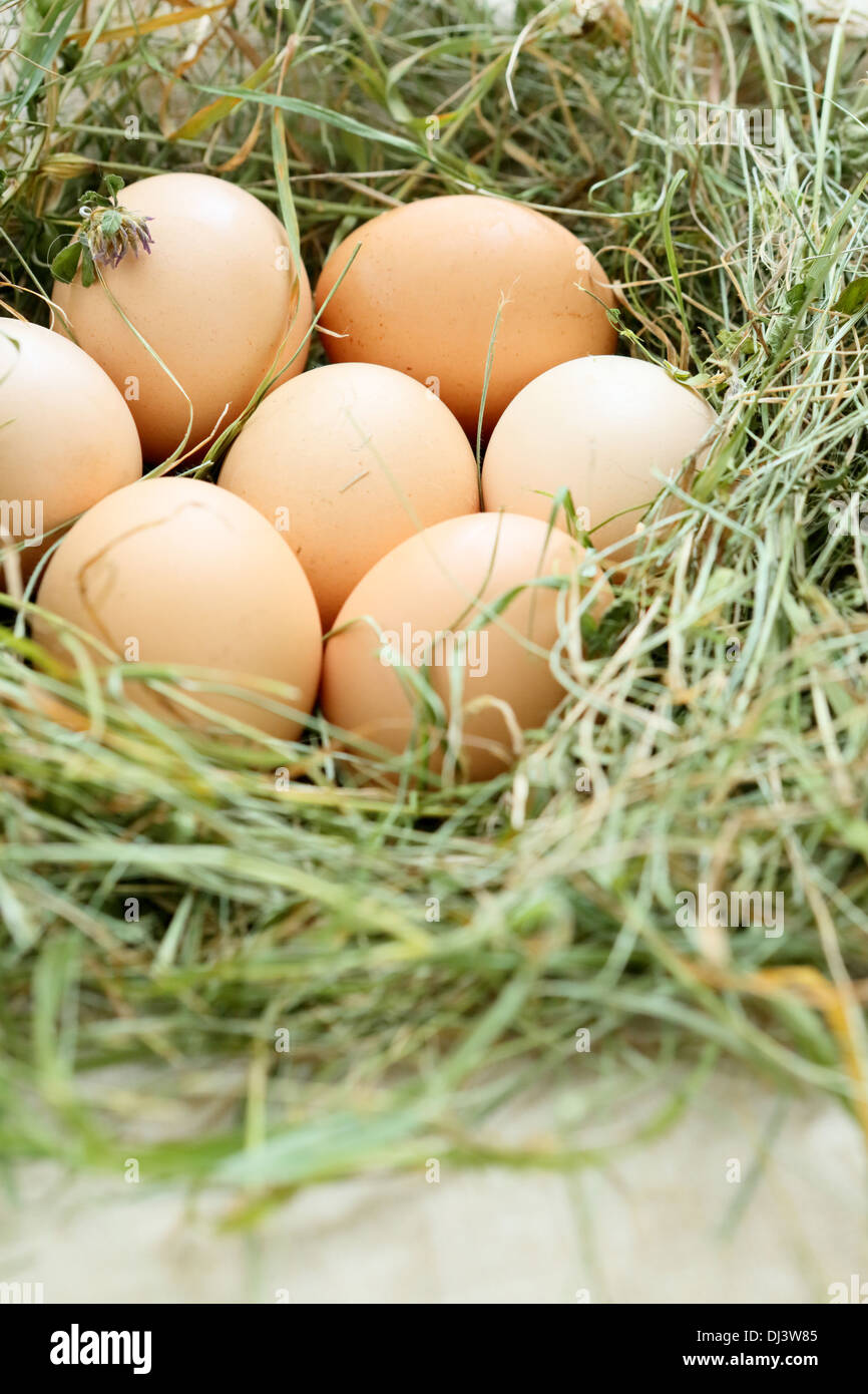 Fresh Bio White Eggs High Resolution Stock Photography and Images - Alamy