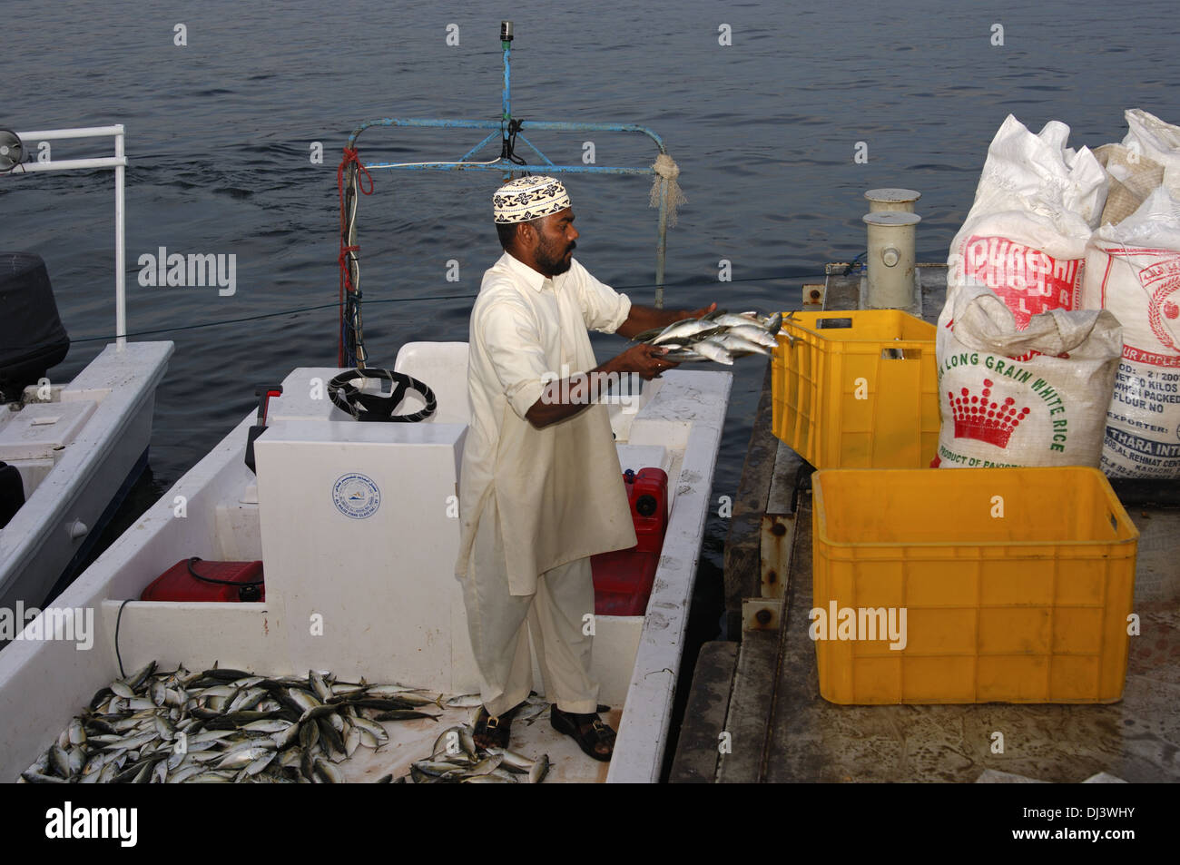 Fisherman sorting his catch Stock Photo - Alamy