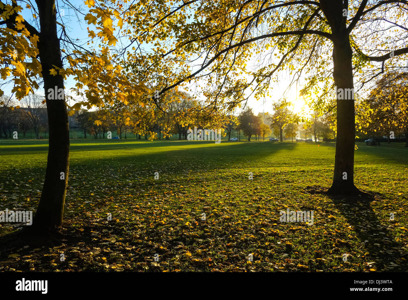 The meadows and edinburgh hi-res stock photography and images - Alamy