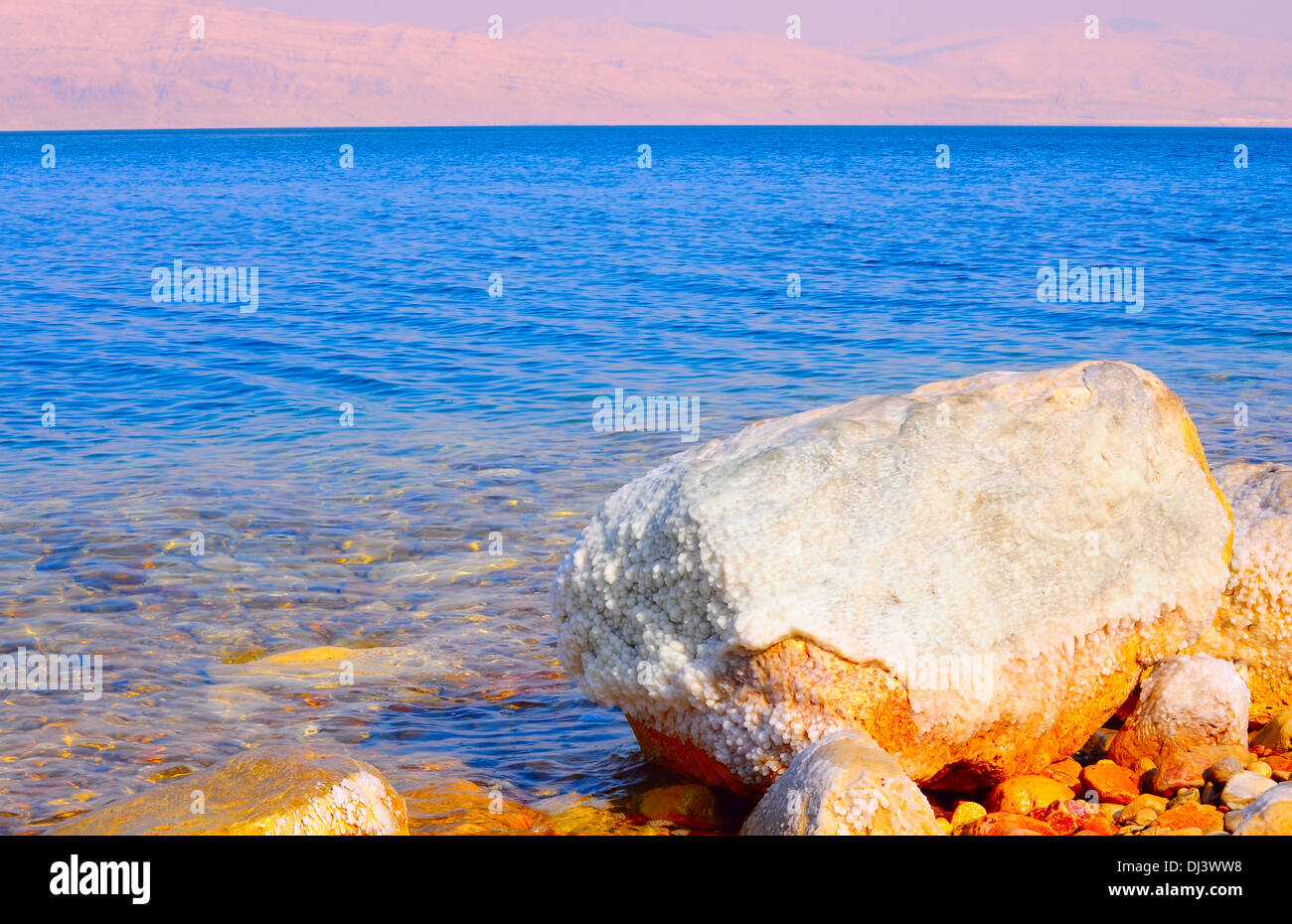 Deep sea mud sand hi-res stock photography and images - Alamy