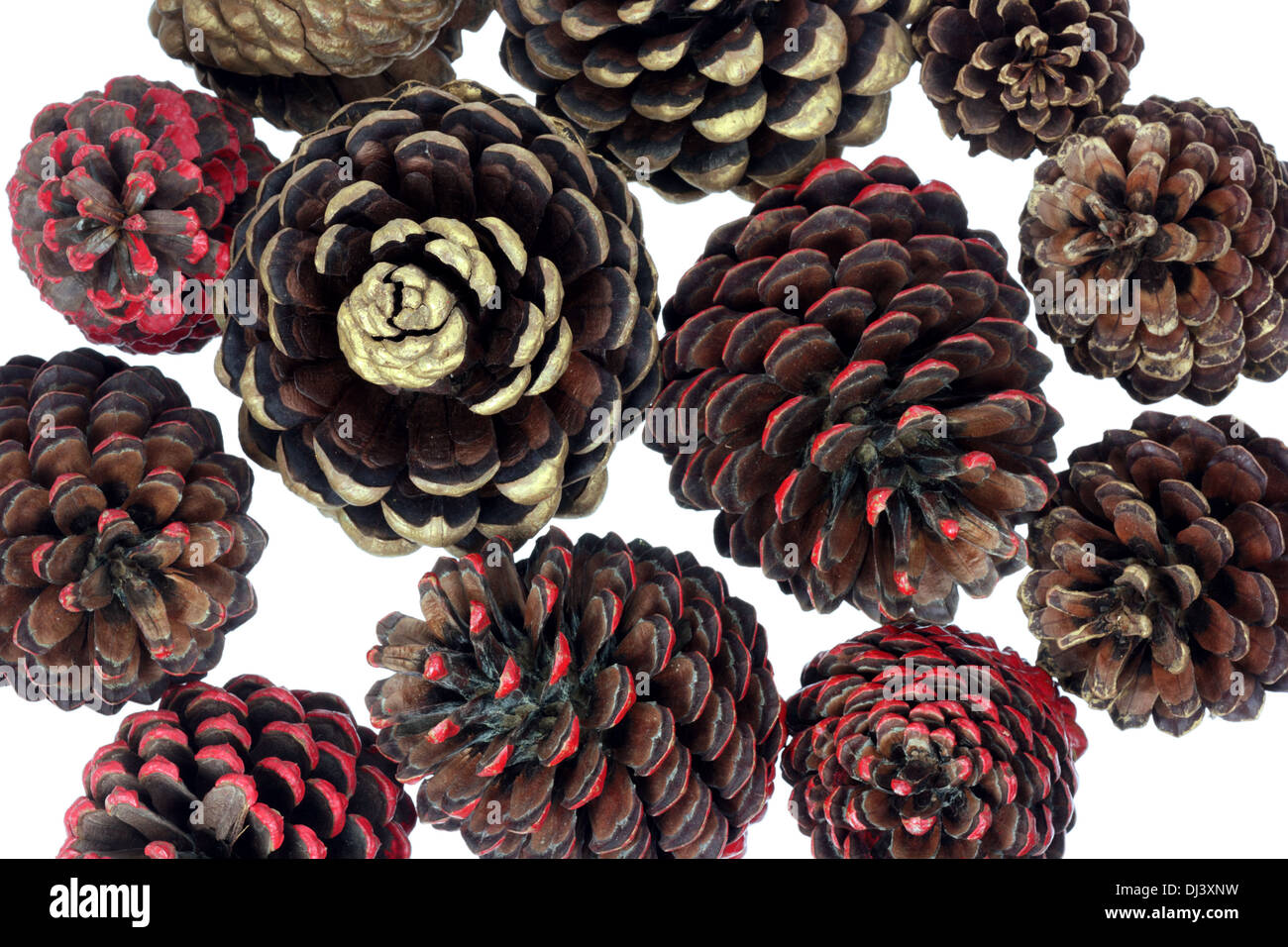 Still life of fir cones hi-res stock photography and images - Alamy