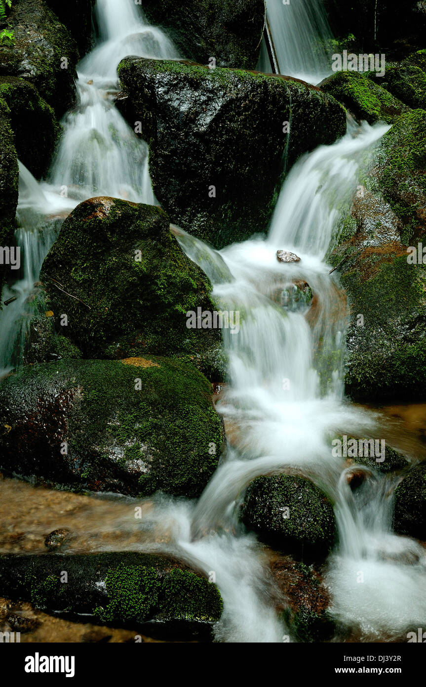 Gertelbachfalle waterfall hi-res stock photography and images - Alamy