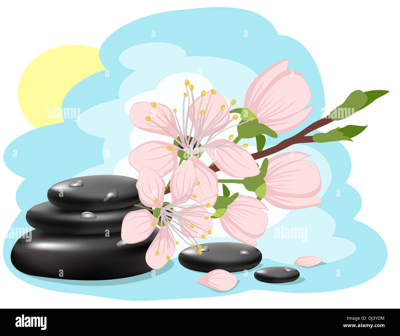 Spa background with cherry blossoms Stock Photo - Alamy