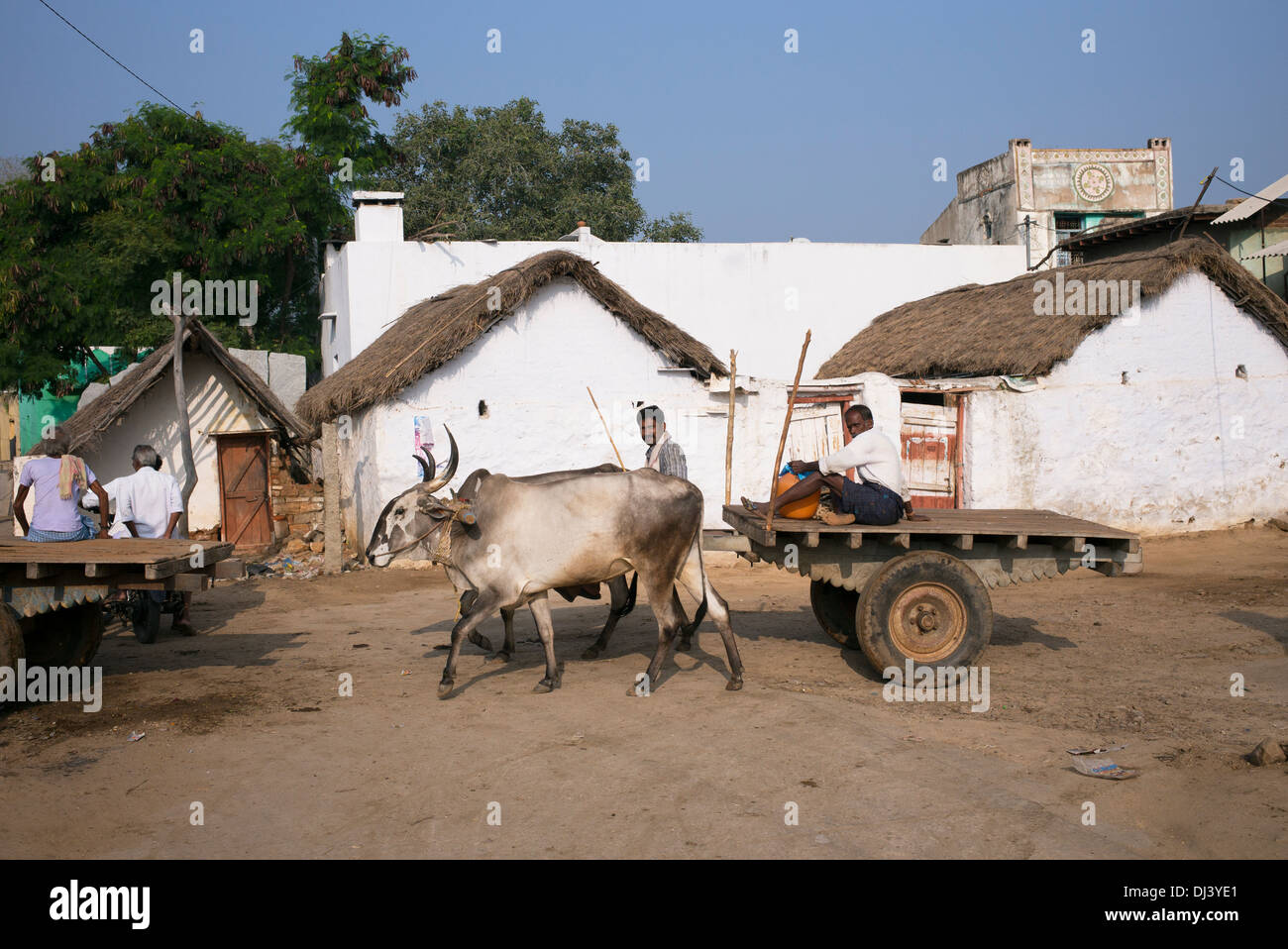 Traditional indian ox cart transport hi-res stock photography and ...