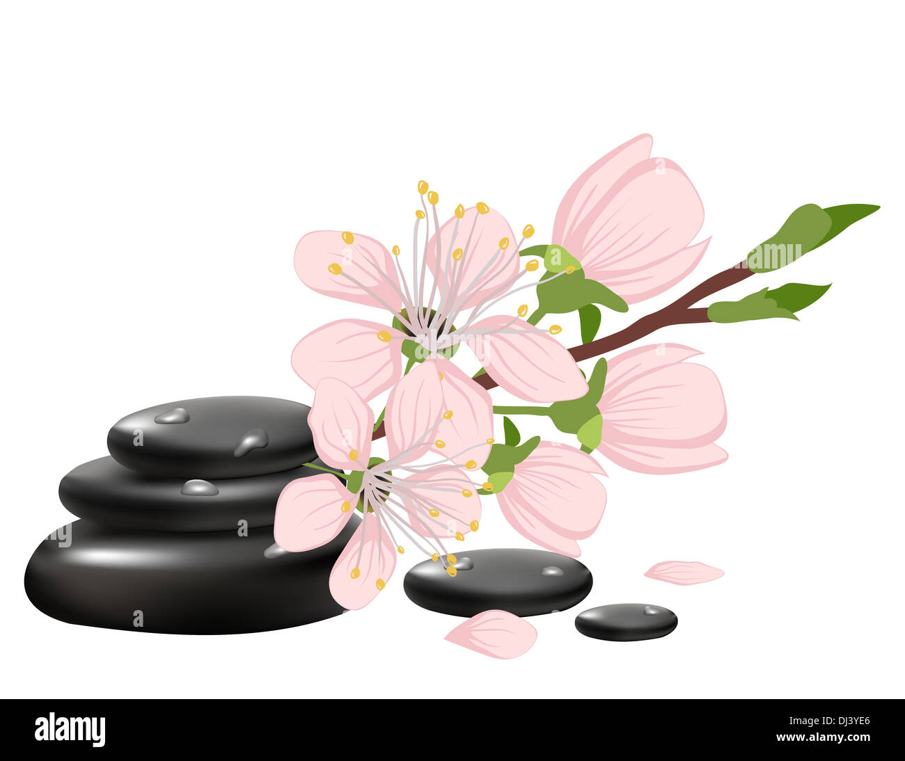 Spa background with cherry blossoms Stock Photo - Alamy