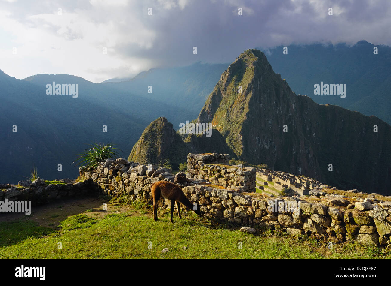 Inca City Machu Picchu Stock Photo - Alamy