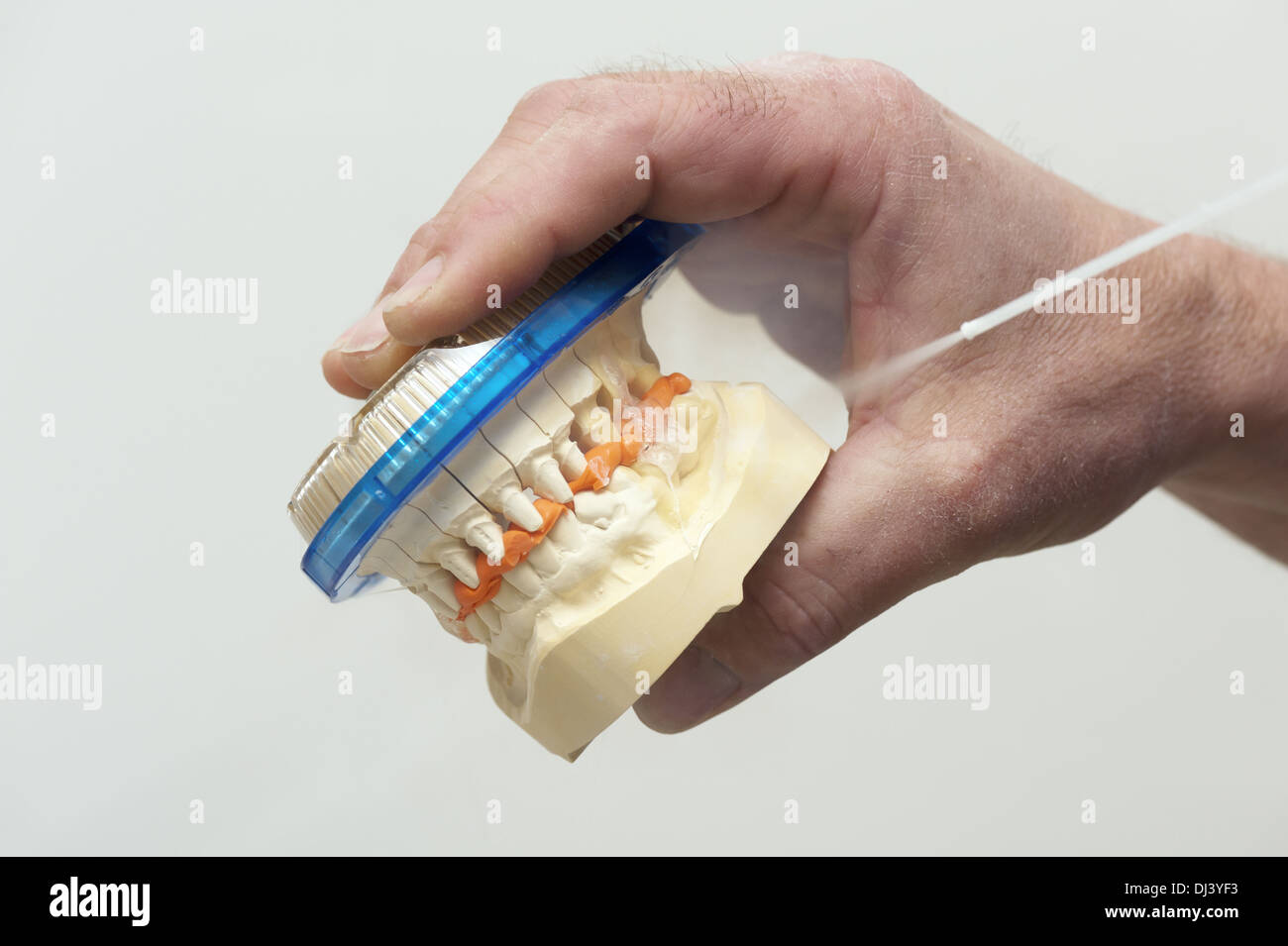 Cleaning finished denture model hi-res stock photography and images - Alamy