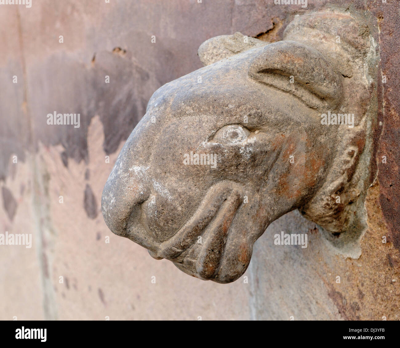 Stone Jaguar Head High Resolution Stock Photography and Images - Alamy